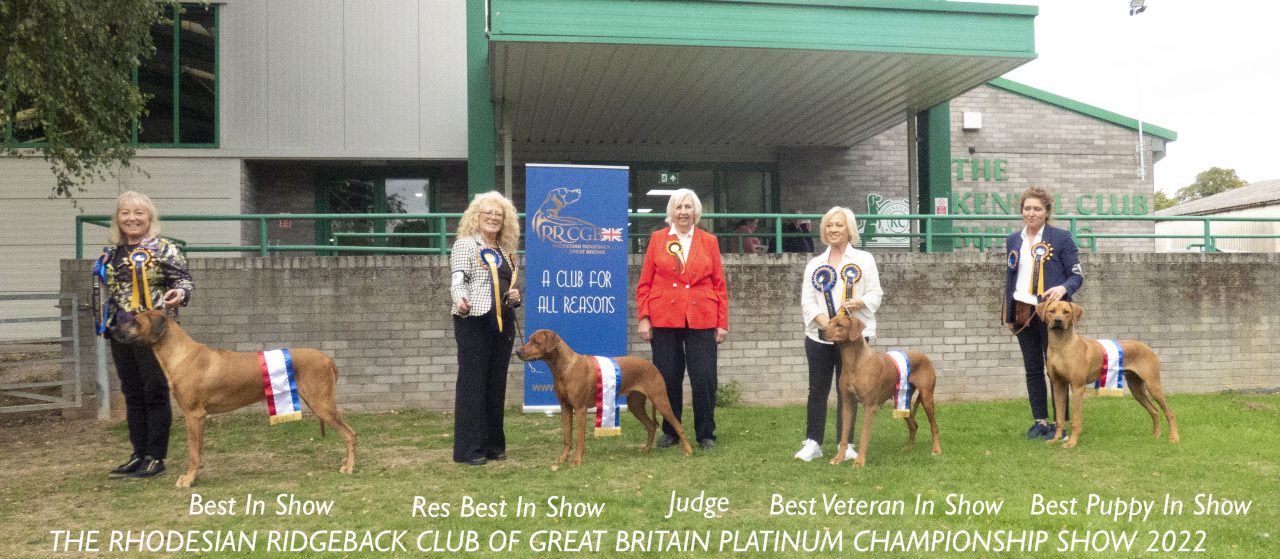 Championship Show 2022 - Rhodesian Ridgeback Club of Great Britain